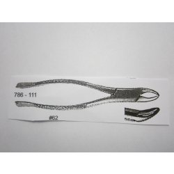 Extraction Forceps #62 - perla dental supplies