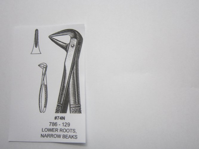 Extraction Forceps #74N - perla dental supplies