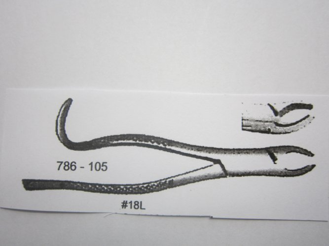 Extraction Forceps #18L - perla dental supplies