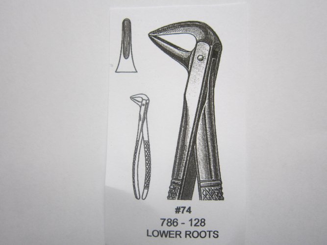 Extraction Forceps #74 - perla dental supplies