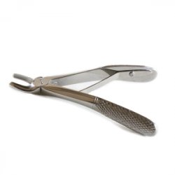 Paediatric Extraction Forceps-Upper Incisors - perla dental supplies