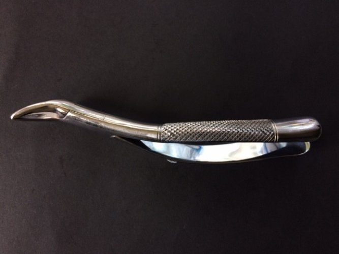 Extraction Forceps #69 - perla dental supplies